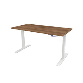 โปรโมชั่นลดราคาแคมเปญ ERGOLIFE BRAND SALE เลือกซื้อตอนนี้เลย