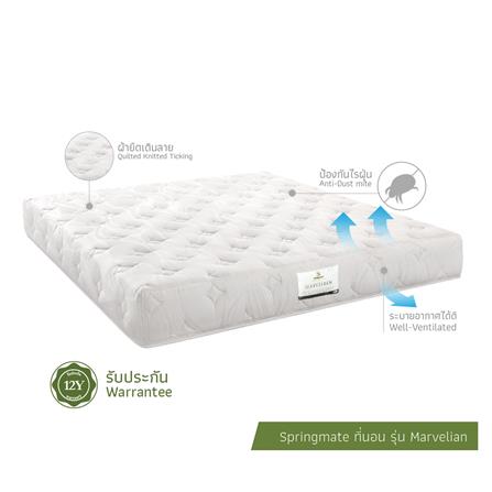 ที่นอน 5 ฟุต SPRINGMATE MARVELIAN