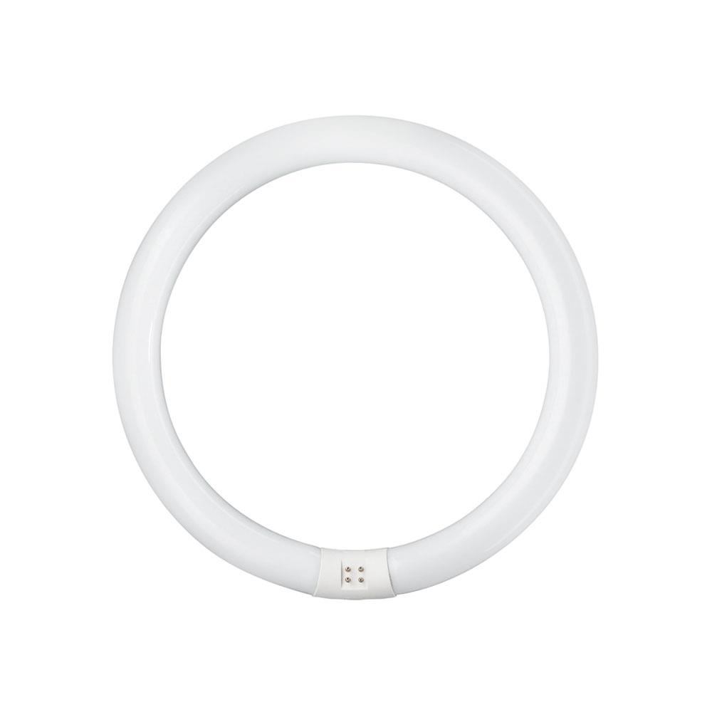 CIRCULAR LAMP TLE PHILIPS 32/86 CDL WHITE G10q