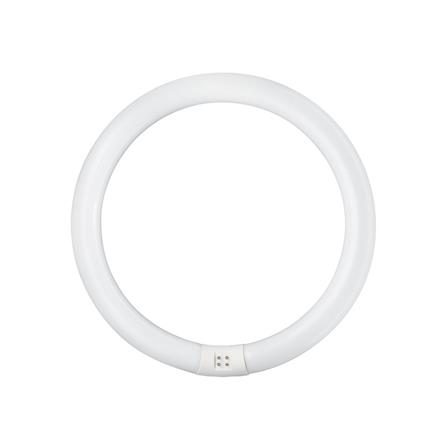 CIRCULAR LAMP TLE PHILIPS 32/86 CDL WHITE G10q