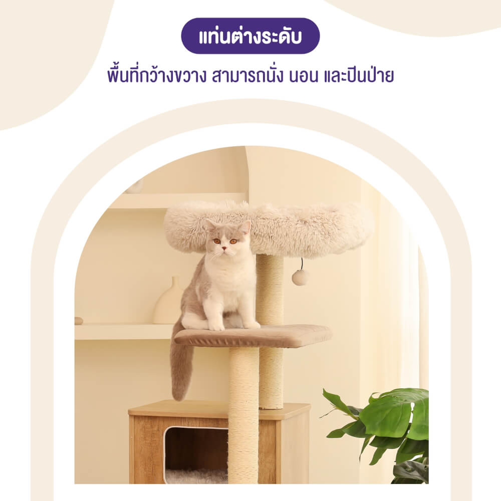 คอนโดแมว Catry รุ่น Cat Tree Casio สีเทา