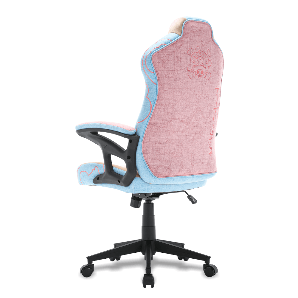 เก้าอี้เกมมิ่ง TTRacing Duo V4 Chopper Edition