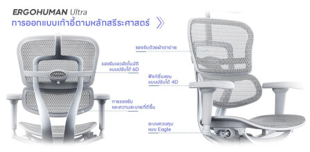 เก้าอี้เพื่อสุขภาพ DF PROCHAIR รุ่น Ergo Elite Ultra Plus สีเทา