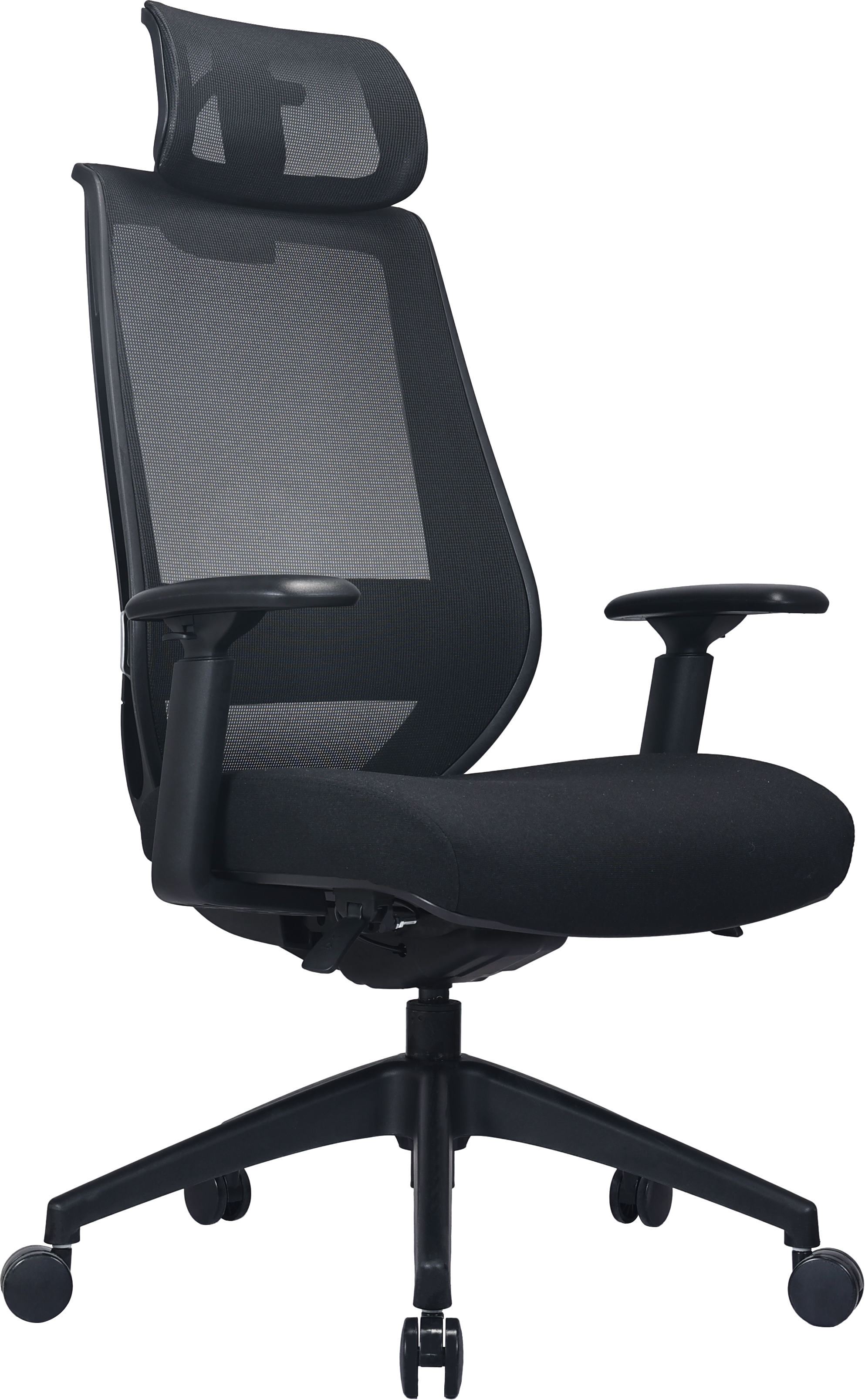 เก้าอี้ทำงานเพื่อสุขภาพ LUNIO ERGO APOLLO SMART X2 CHAIR สีดำ BLACK EDITION