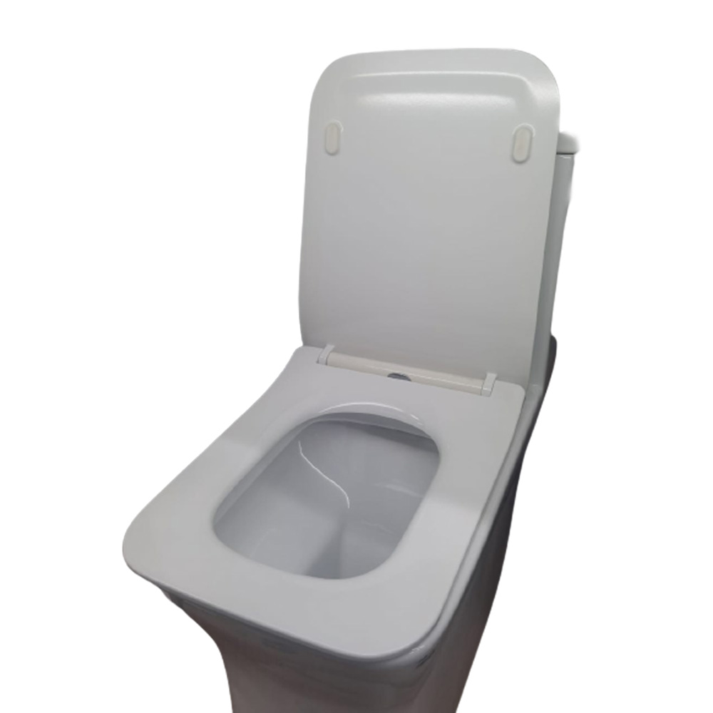 MODERN DEPOT 1P TOILET TREX WASHDOWN DUAL FLUSH 3/6L W36XD67XH78.50 CM ...